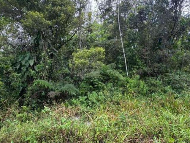 Terreno para Venda em Itanhaém, Gaivota