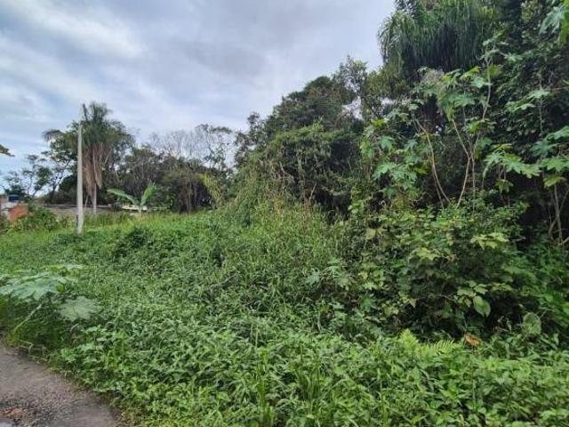 Terreno para Venda em Itanhaém, Gaivota
