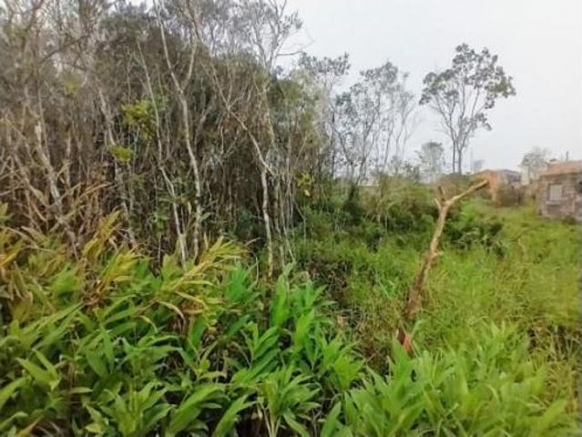 Terreno para Venda em Itanhaém, Gaivota