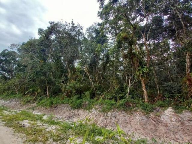Terreno para Venda em Itanhaém, Gaivota