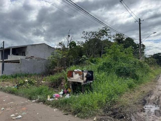 Terreno para Venda em Itanhaém, Gaivota