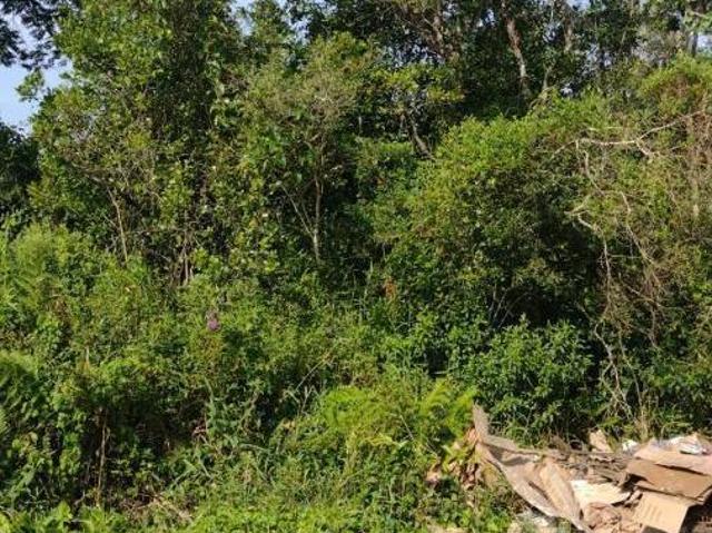 Terreno para Venda em Itanhaém, Gaivota