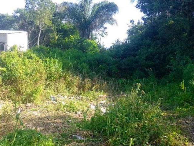 Terreno para Venda em Itanhaém, Gaivota
