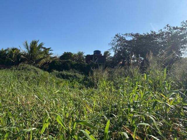 Terreno para Venda em Itanhaém, Gaivotas