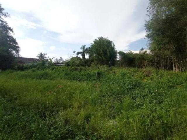 Terreno para Venda em Itanhaém, Gaivotas