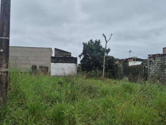 Terreno para Venda em Itanhaém, Guacyra