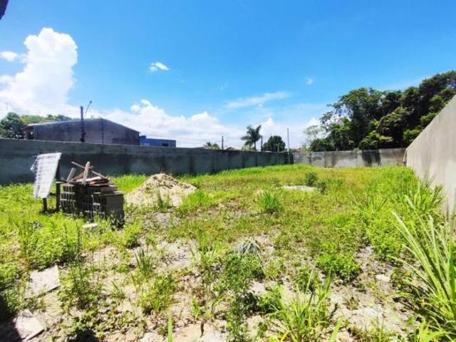 Terreno para Venda em Itanhaém, Guacyra