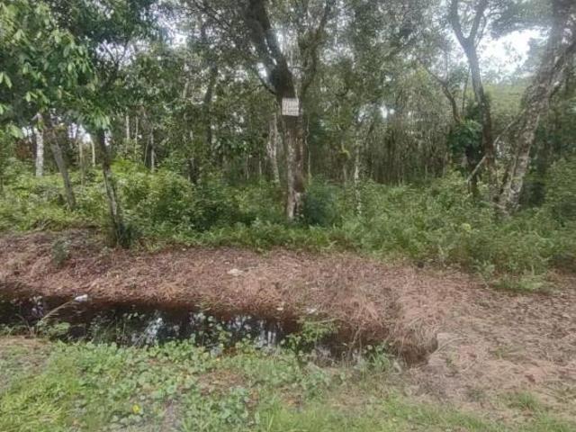Terreno para Venda em Itanhaém, Indaiá