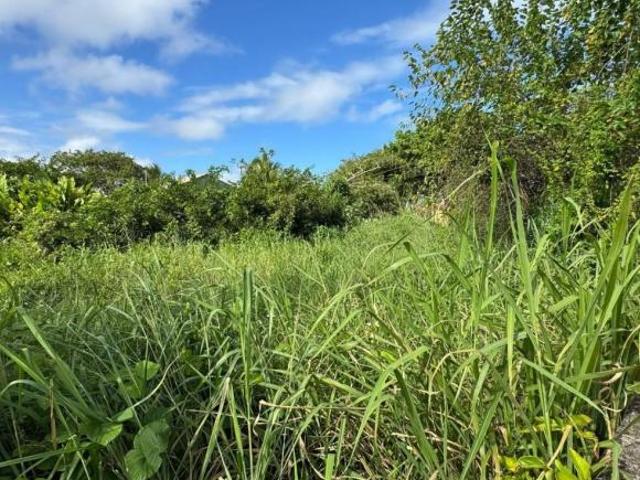 Terreno para Venda em Itanhaém, Jamaica