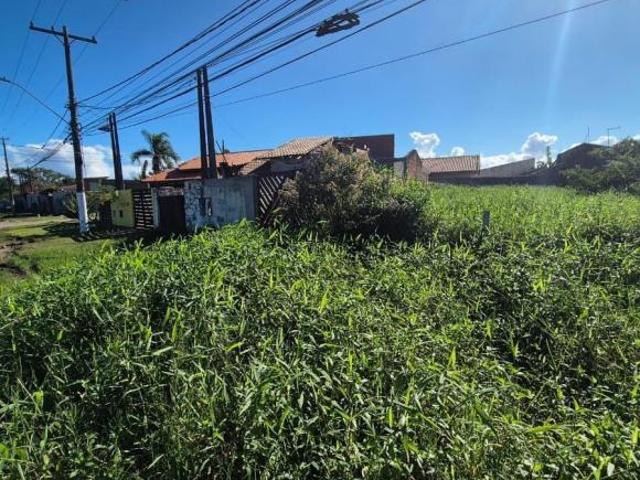 Terreno para Venda em Itanhaém, Jamaica