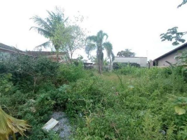 Terreno para Venda em Itanhaém, Jamaica