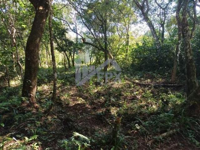 Terreno para Venda em Itanhaém, Jardim Marambá 2