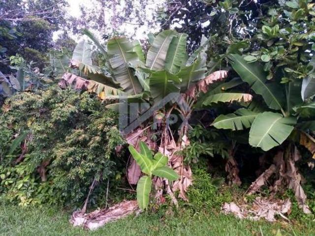Terreno para Venda em Itanhaém, Jardim Marambá 2