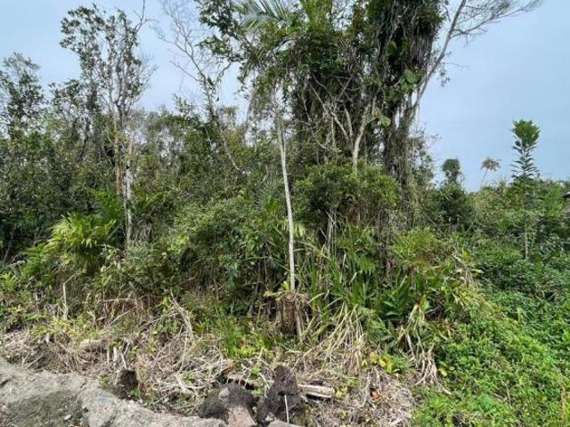 Terreno para Venda em Itanhaém, Jardim Marambá 2
