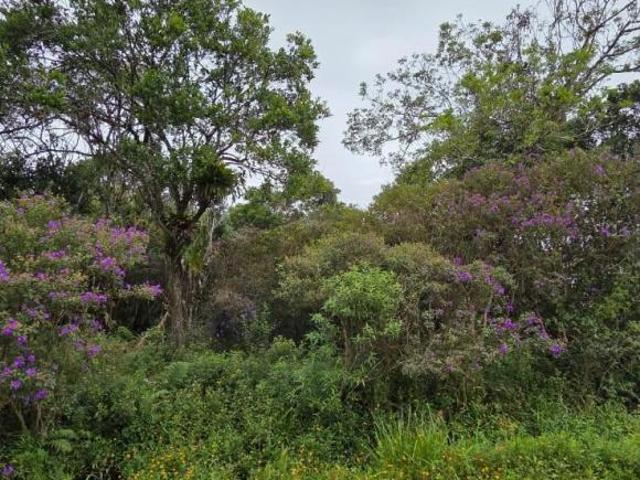 Terreno para Venda em Itanhaém, Jardim Marambá 2