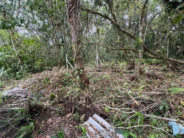 Terreno para Venda em Itanhaém, Jardim Marambá 2