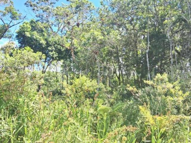 Terreno para Venda em Itanhaém, Jardim Anchieta