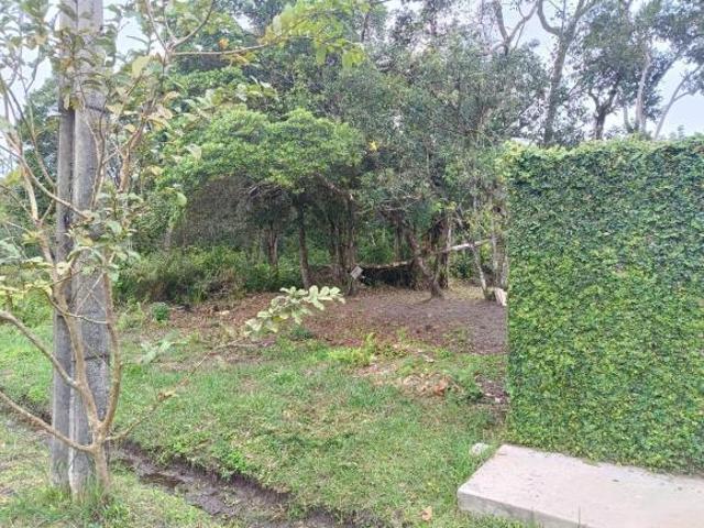 Terreno para Venda em Itanhaém, Jardim Anchieta