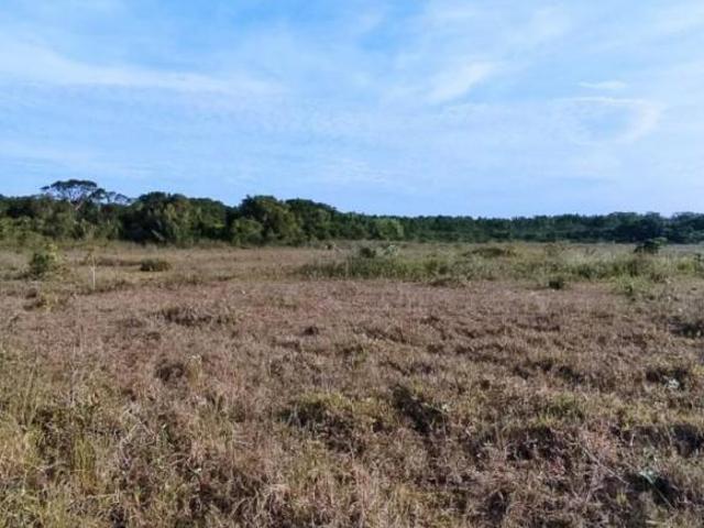 Terreno para Venda em Itanhaém, Jardim Casablanca