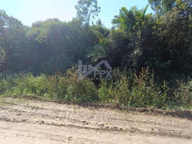 Terreno para Venda em Itanhaém, Jardim Coronel