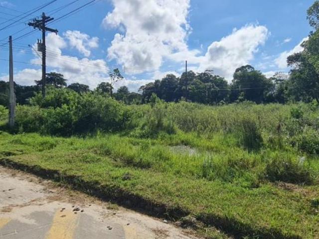 Terreno para Venda em Itanhaém, Jardim Coronel