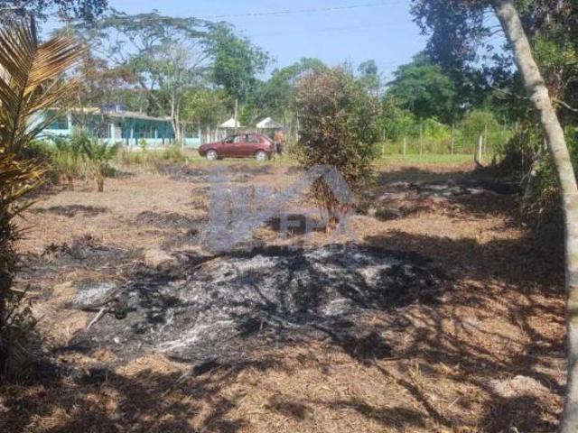 Terreno para Venda em Itanhaém, Jardim Coronel