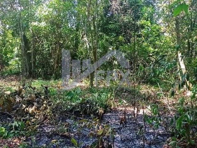 Terreno para Venda em Itanhaém, Jardim Coronel