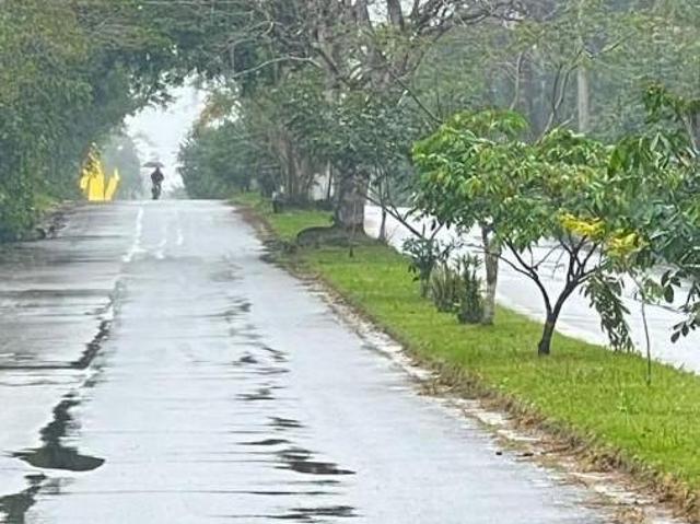 Terreno para Venda em Itanhaém, Jardim Coronel