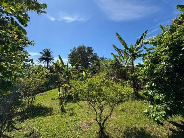 Terreno para Venda em Itanhaém, Jardim das Palmeiras
