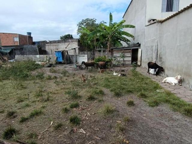 Terreno para Venda em Itanhaém, Jardim das Palmeiras