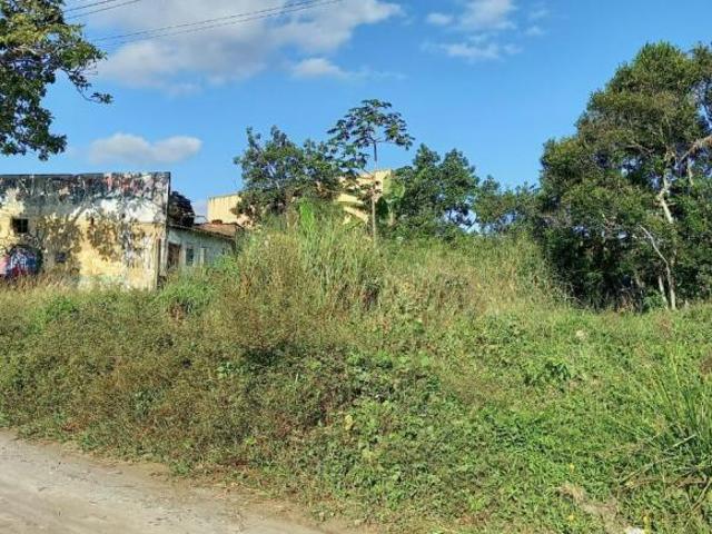 Terreno para Venda em Itanhaém, Jardim das Palmeiras