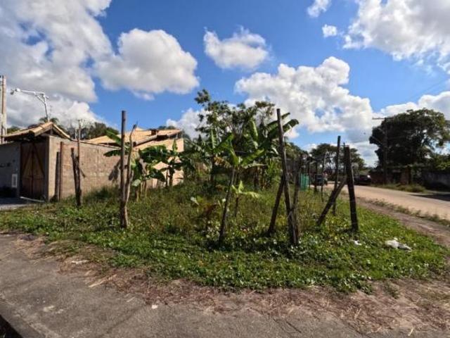 Terreno para Venda em Itanhaém, Jardim das Palmeiras