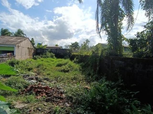 Terreno para Venda em Itanhaém, Jardim das Palmeiras