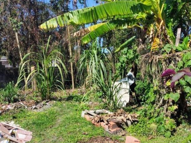 Terreno para Venda em Itanhaém, Jardim das Palmeiras