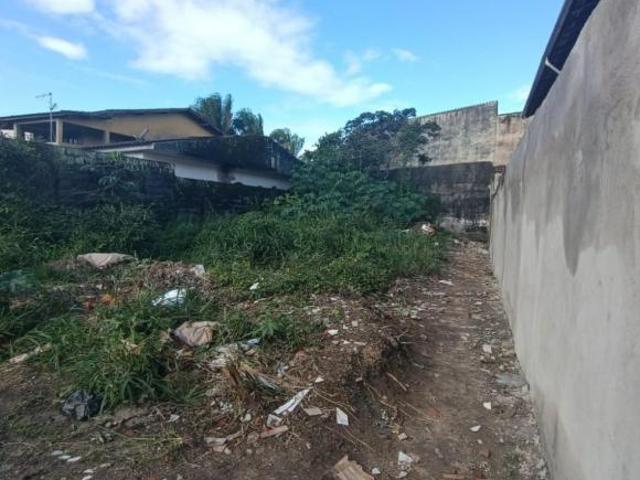 Terreno para Venda em Itanhaém, Jardim das Palmeiras