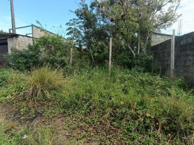 Terreno para Venda em Itanhaém, Jardim das Palmeiras