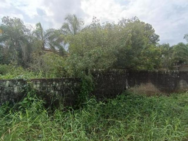 Terreno para Venda em Itanhaém, Jardim das Palmeiras