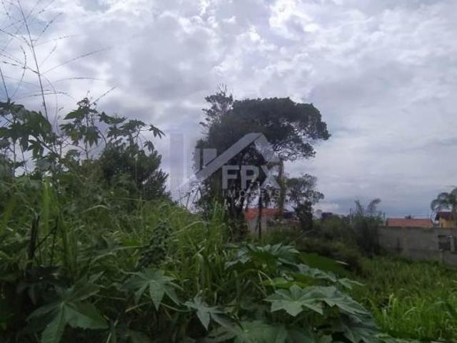 Terreno para Venda em Itanhaém, Jardim das Palmeiras