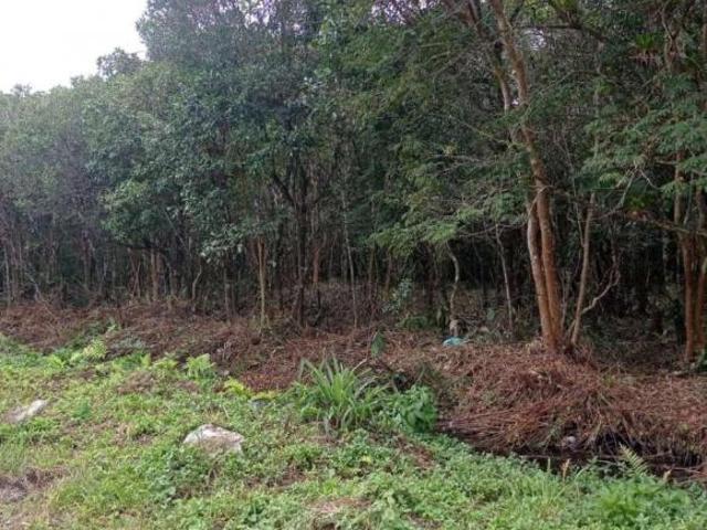 Terreno para Venda em Itanhaém, Jardim das Palmeiras