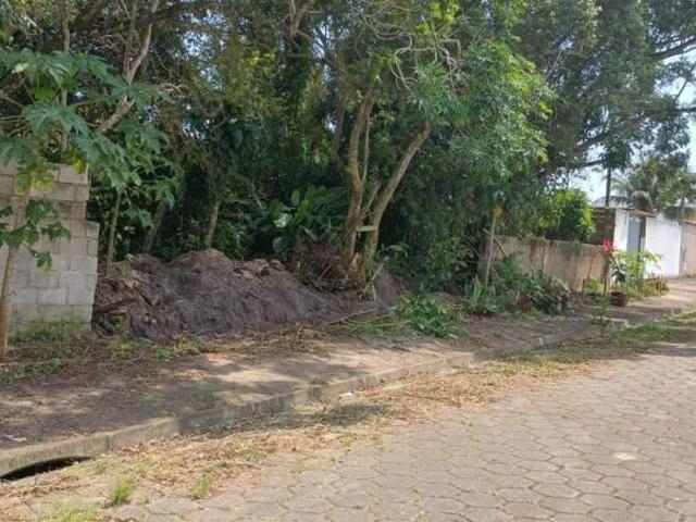 Terreno para Venda em Itanhaém, Jardim das Palmeiras