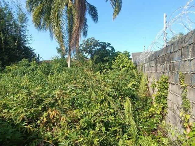 Terreno para Venda em Itanhaém, Jardim das Palmeiras