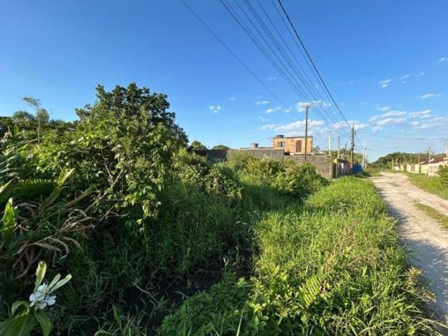 Terreno para Venda em Itanhaém, Jardim das Palmeiras