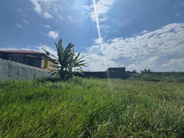 Terreno para Venda em Itanhaém, Jardim Diplomata