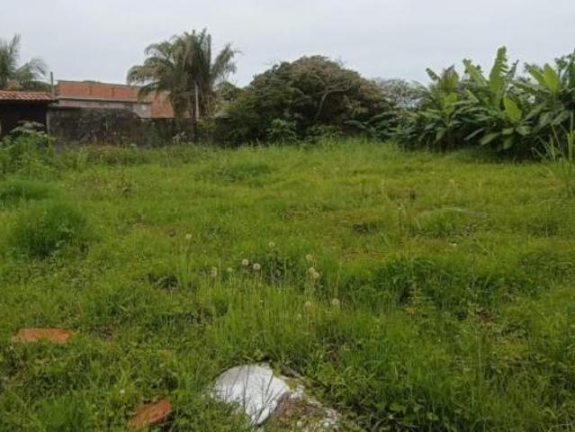 Terreno para Venda em Itanhaém, Jardim Diplomata