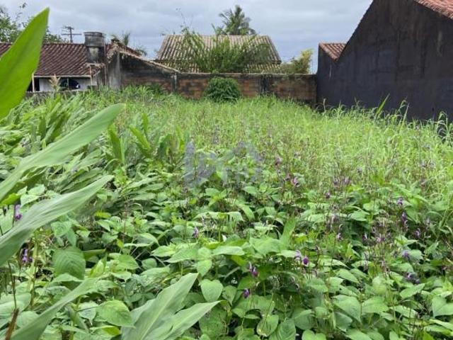 Terreno para Venda em Itanhaém, Jardim Diplomata