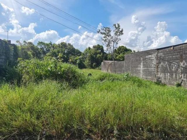 Terreno para Venda em Itanhaém, Jardim Fenix