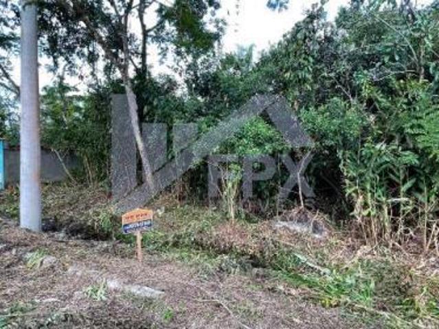 Terreno para Venda em Itanhaém, Jardim Fenix