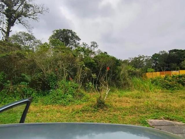 Terreno para Venda em Itanhaém, Jardim Fenix