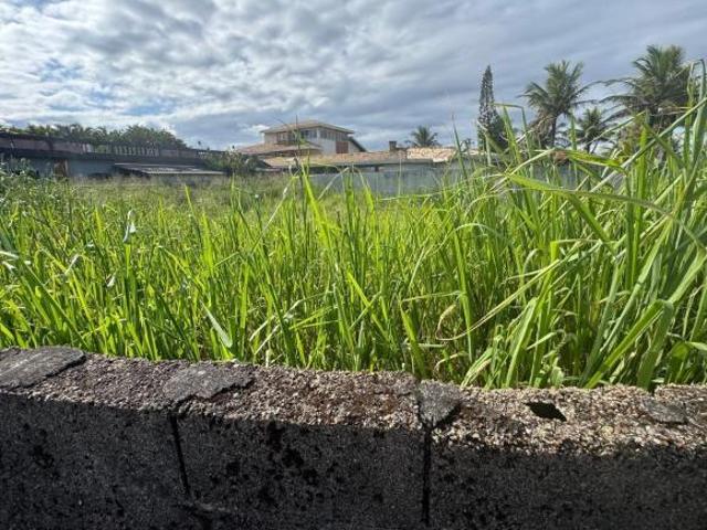 Terreno para Venda em Itanhaém, Jardim Grandesp
