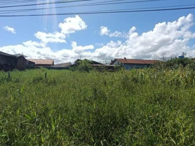 Terreno para Venda em Itanhaém, Jardim Jamaica